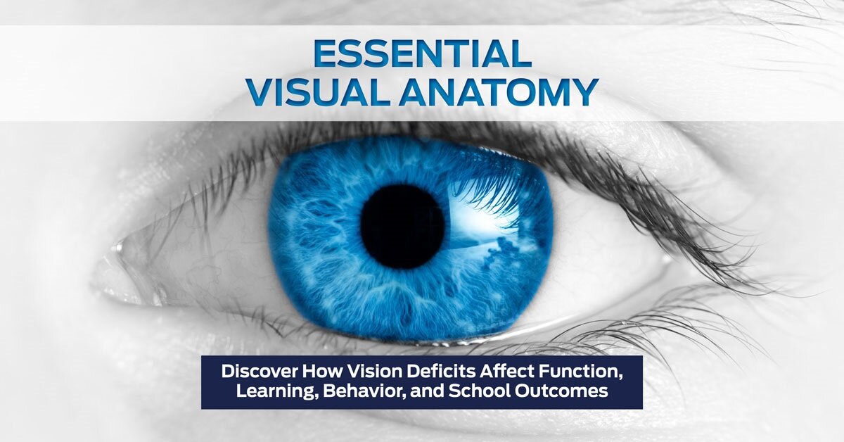 Essential Visual Anatomy